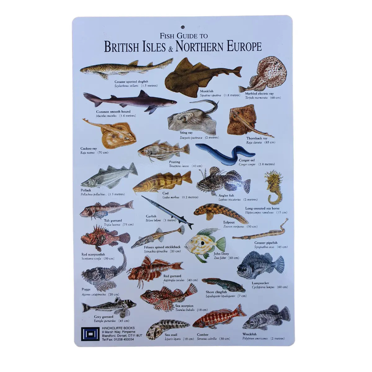 Saltwater Fish Chart Books & Gifts :: Pacific Northwest :: Alaska